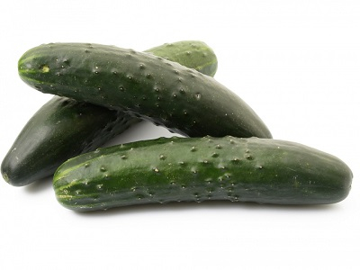 Concombre noa - 1 u - Earl écoute S'il Pleut - Locavor.fr