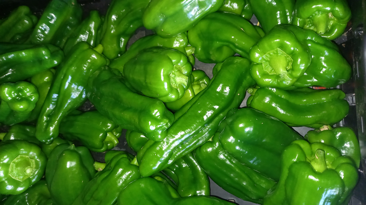 Poivron vert - 500 g - Le Jardin De L'hêtre - Locavor.fr