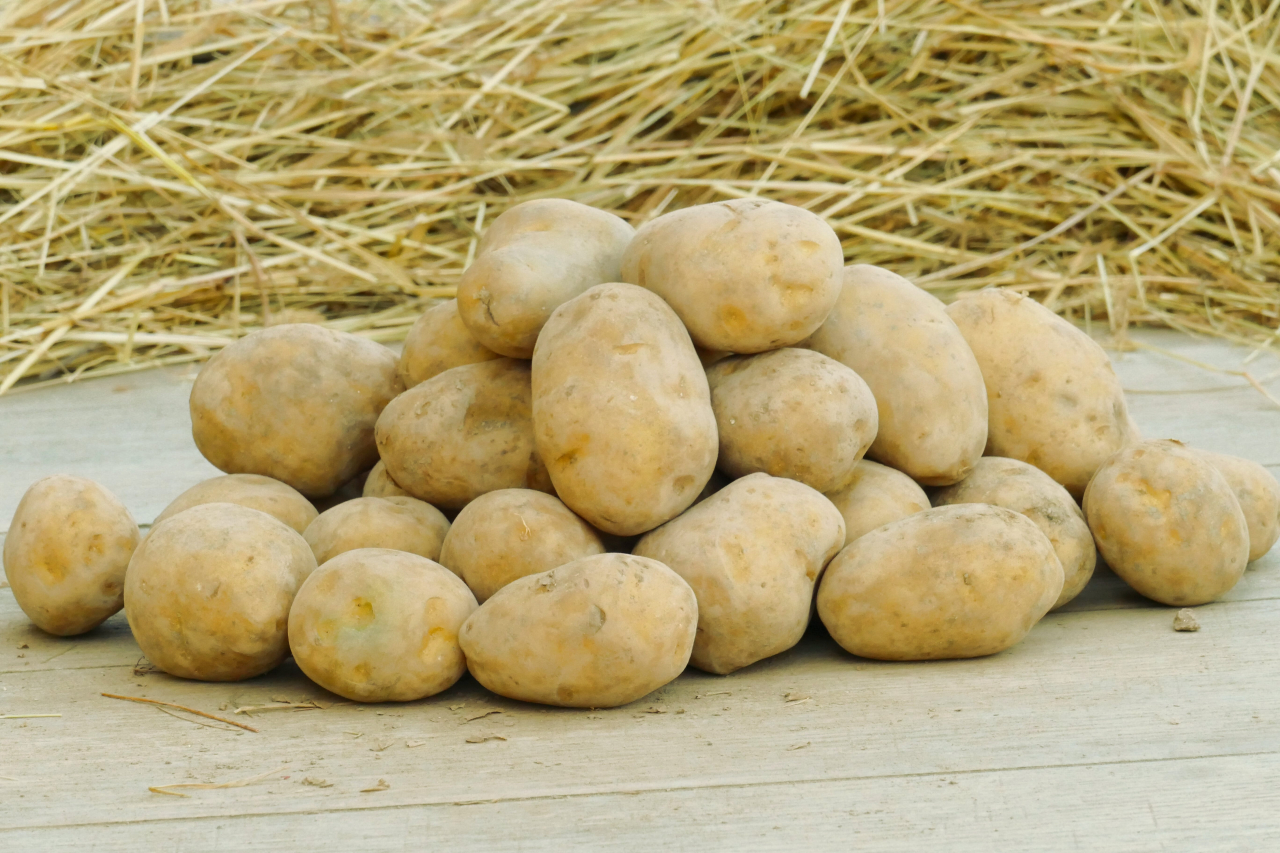 Pomme De Terre 10 Kg Lidlnull
