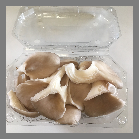 Pleurote bio - 3 formats - Champ'icaunais - Locavor.fr