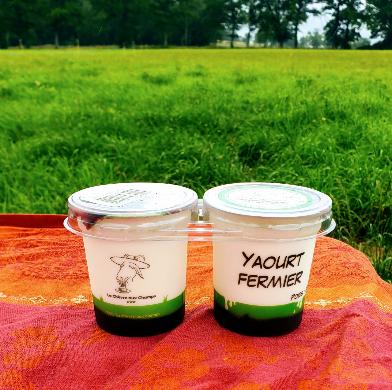 Yaourt de chèvre myrtille - 250 g - La Ferme De La Chomette - Locavor.fr