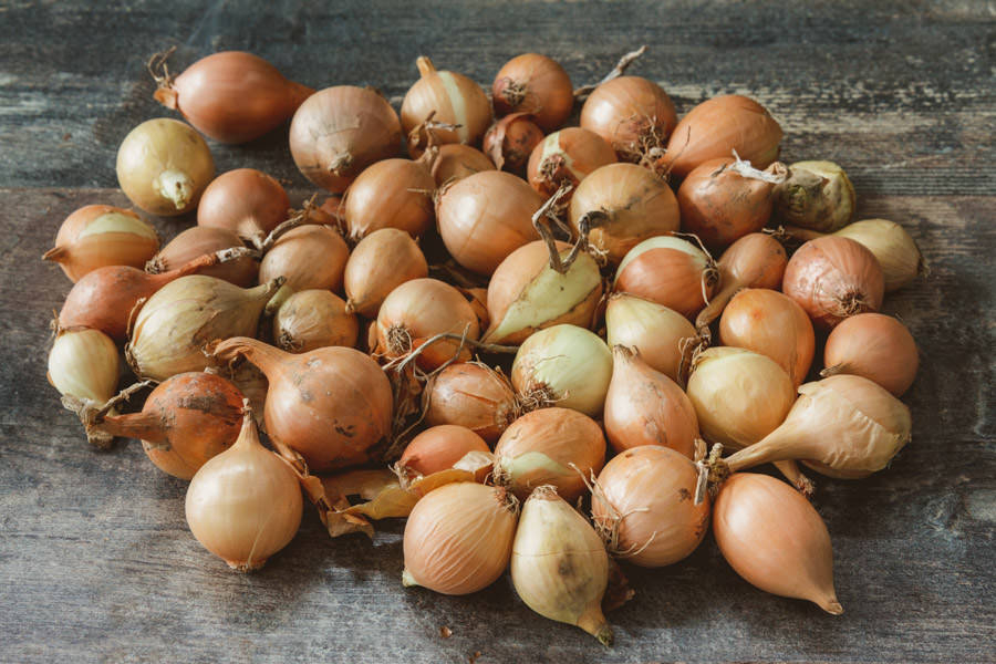 Petits oignons bio - 2 formats - Bio La Damotte - Locavor.fr