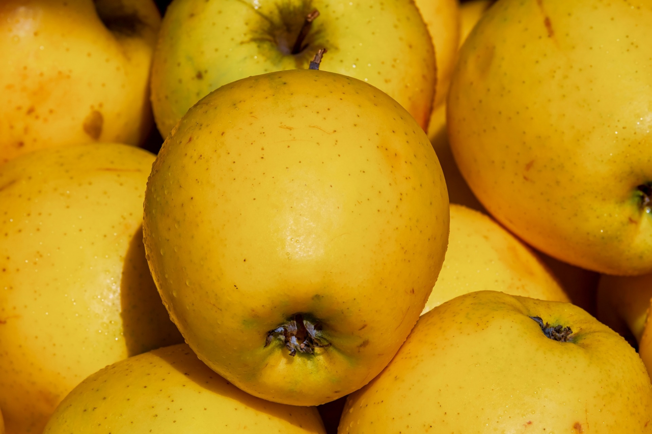 Pommes golden - 1 kg - Domaine De Chanabas - Locavor.fr
