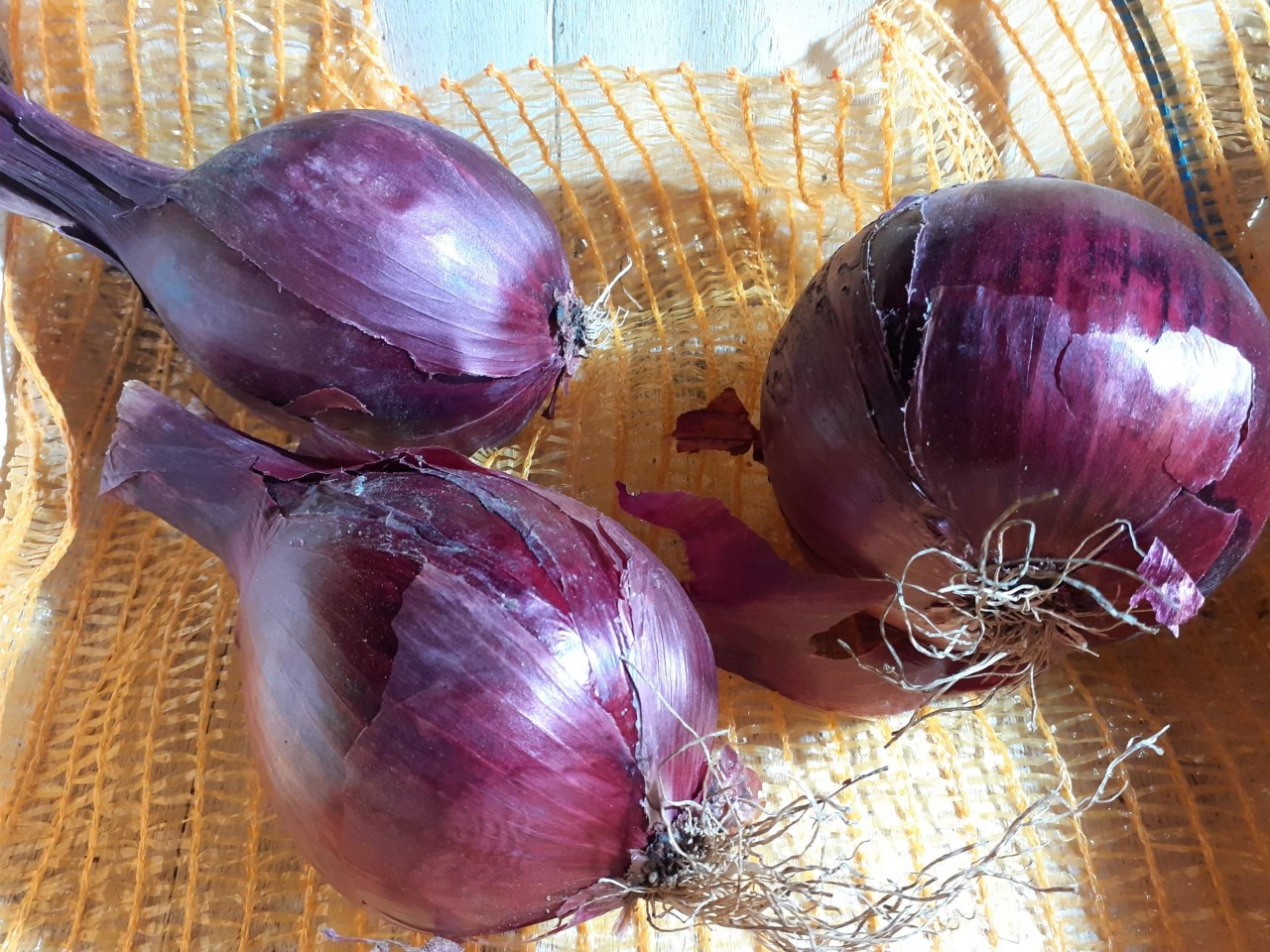 Oignons rouge déclassés bio - 1 kg - Marie-odile Lucas - Locavor.fr