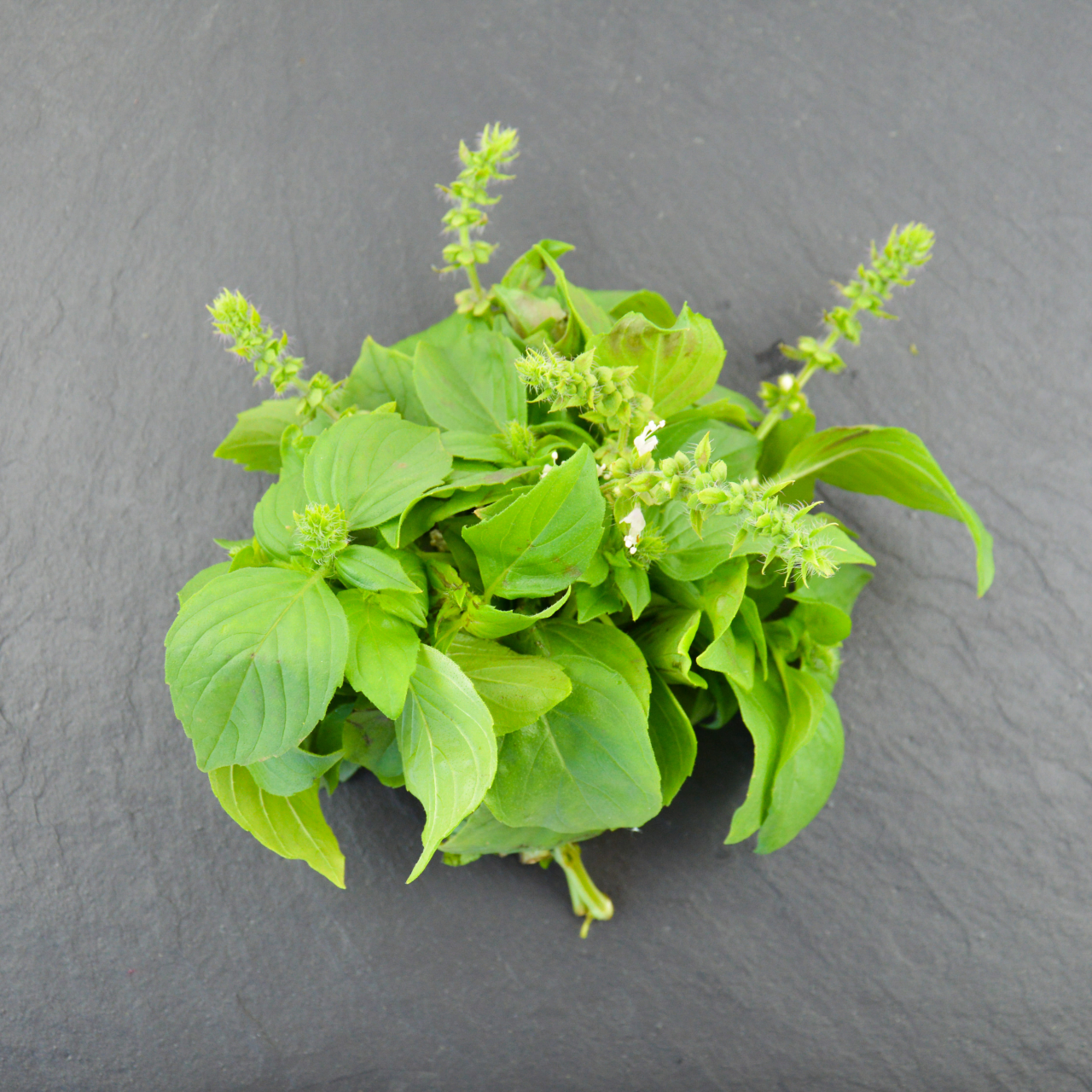 Basilic citron - 30 g - Champerché - Locavor.fr