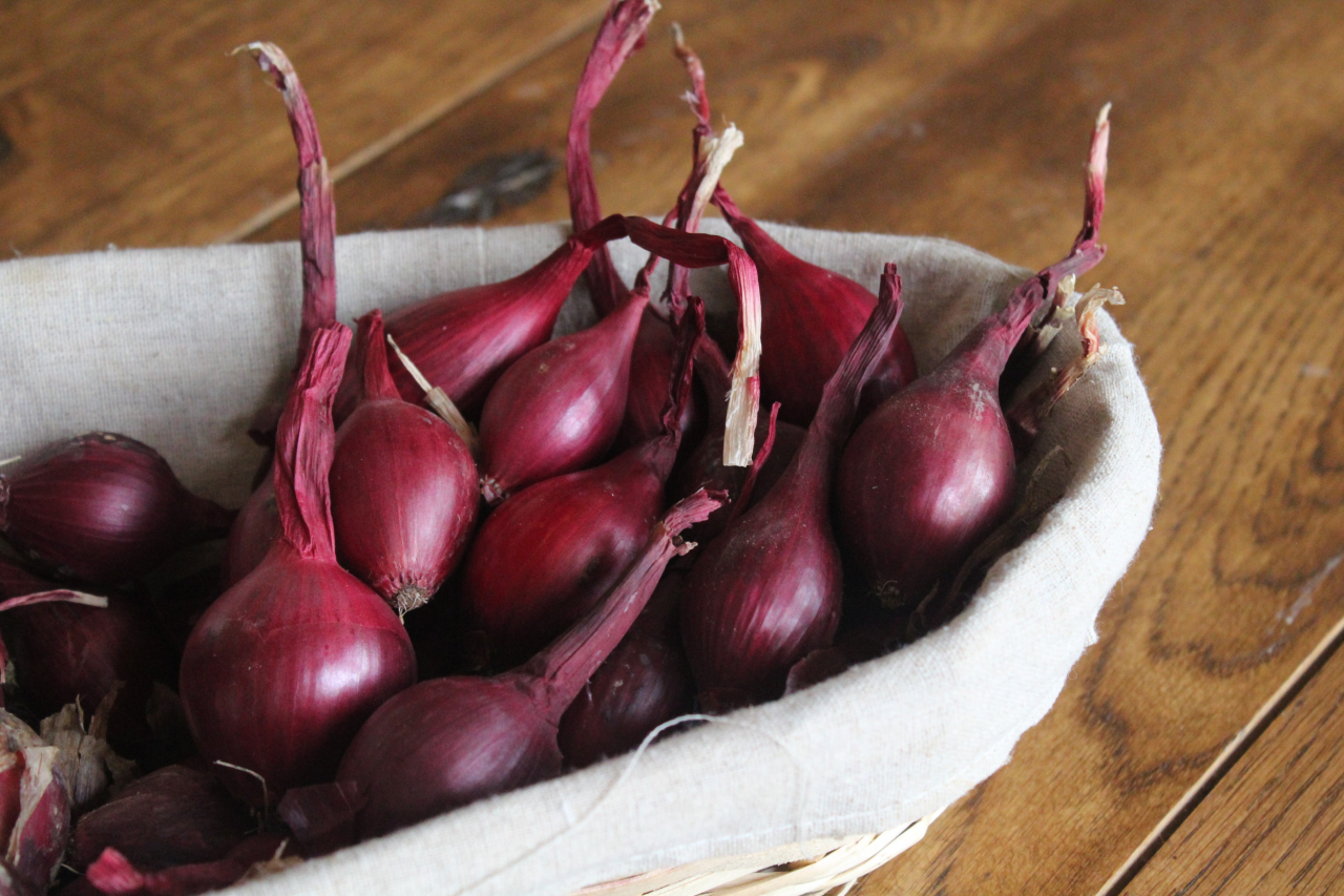 Oignons rouge - 500 g - La Ferme Gambetta - Locavor.fr