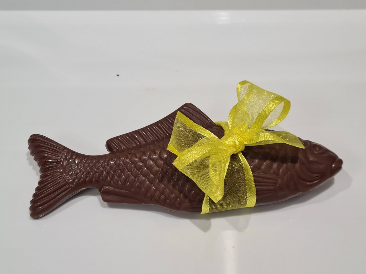 Le petit poisson - 2 formats - Ludivine Gaillard - Locavor.fr