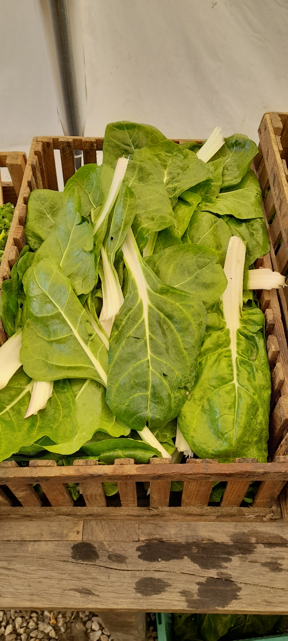 Blette blanche (500gr) - 500 g - Les Légumes Du Château - Locavor.fr