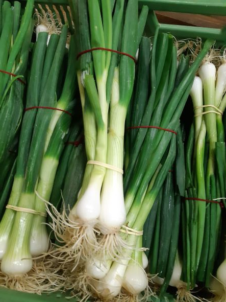 Oignon blanc - 1 u - Sarl Les Legumes De Buyon - Locavor.fr