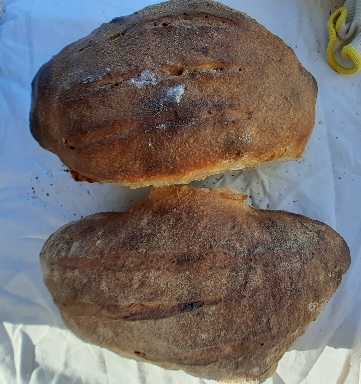 Pain rustique bio 500g - 500 g - La Ferme Des Riviers - Locavor.fr