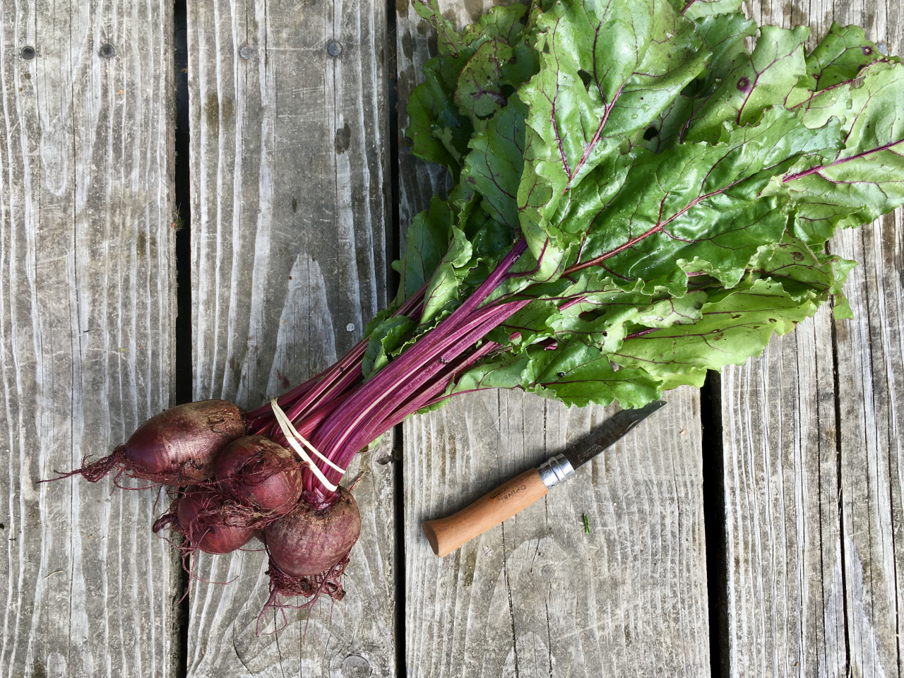 Betterave rouge botte - 1 u - La Ferme D'avril - Locavor.fr