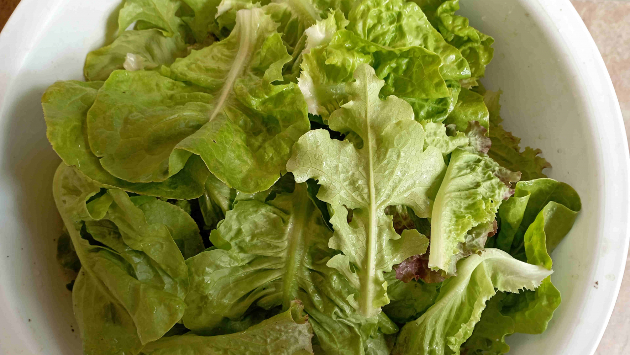Sachet de salade mix prêt à l'emploi - 200 g - La Ferme Gambetta ...