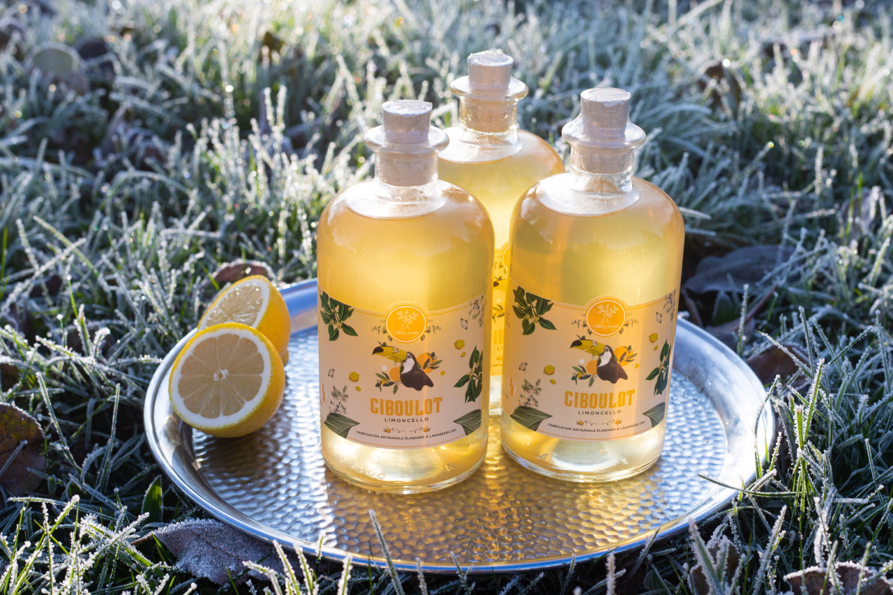 Liqueur citron 'ciboulot' - 50 cl - L'atelier Sauvage - Locavor.fr