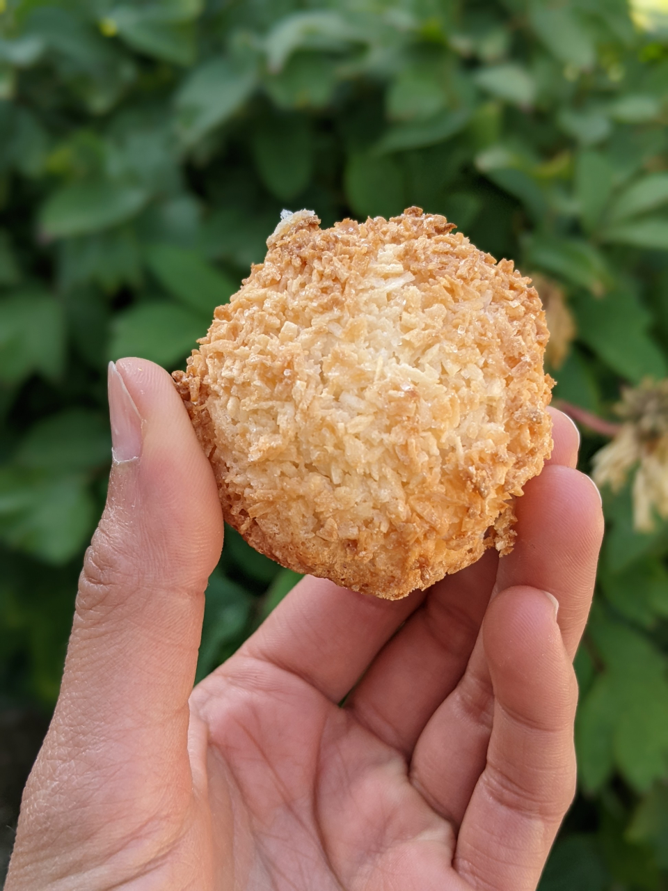 Rocher coco - 1 u - Colette Pâtisseries - Locavor.fr