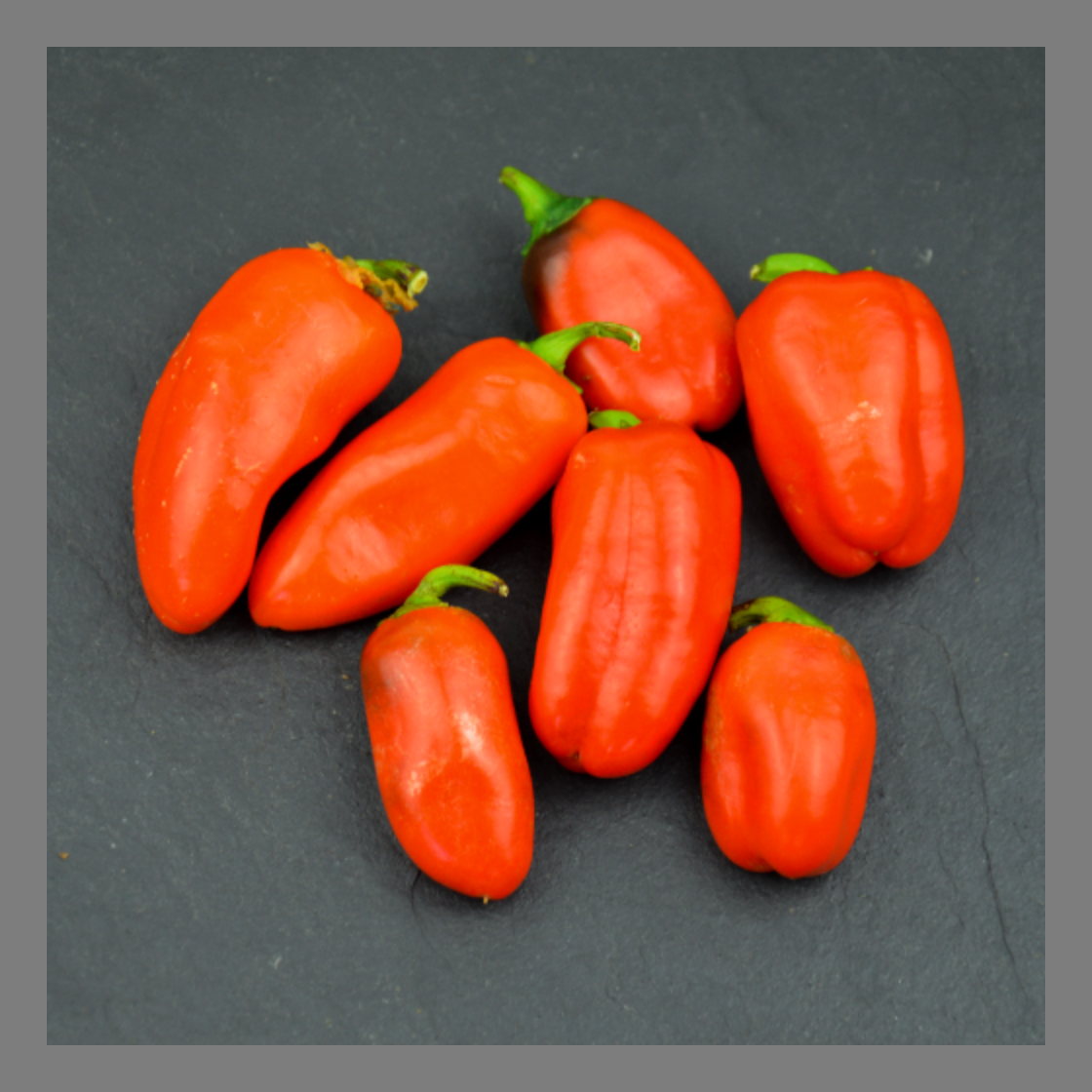 Mini-poivron arwen (rouges) - 50 g - Champerché - Locavor.fr