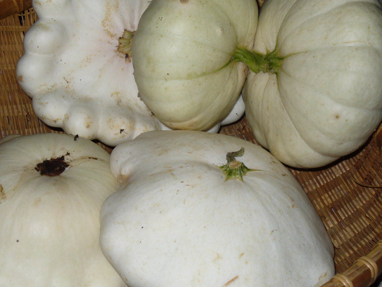 Patisson blanc-700g - 700 g - Ateliers De La Grange - Locavor.fr