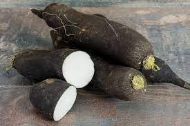 Radis noire long bio - 2 formats - Ferme Des Champs Fleuris - Locavor.fr