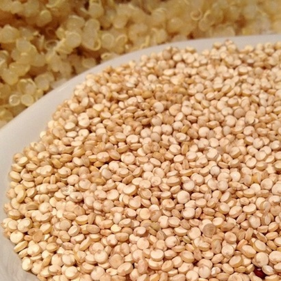 Quinoa d'anjou - 100 g - Les Tontons Vraqueurs - Locavor.fr