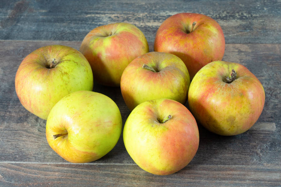 Pomme belle de boskoop - 1 kg - Des Vergers Au Potager - Locavor.fr