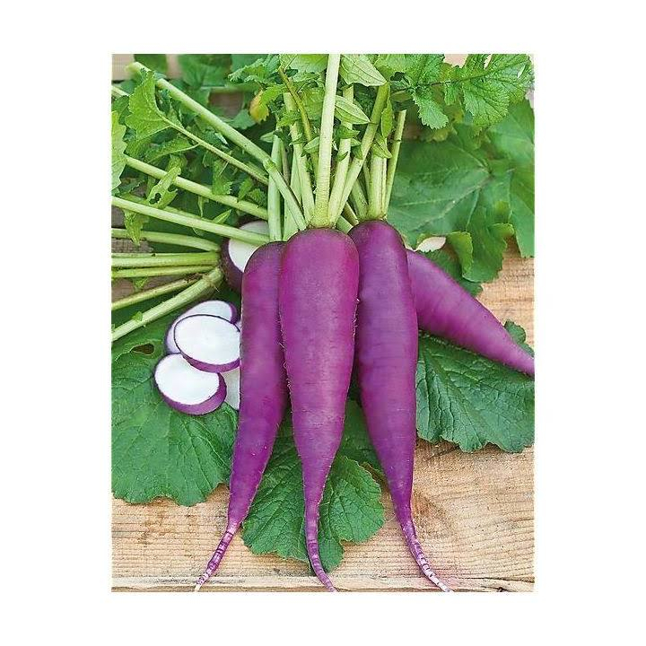 Radis bleu d automne botte - 1 u - Domaine Du Kheir - Locavor.fr