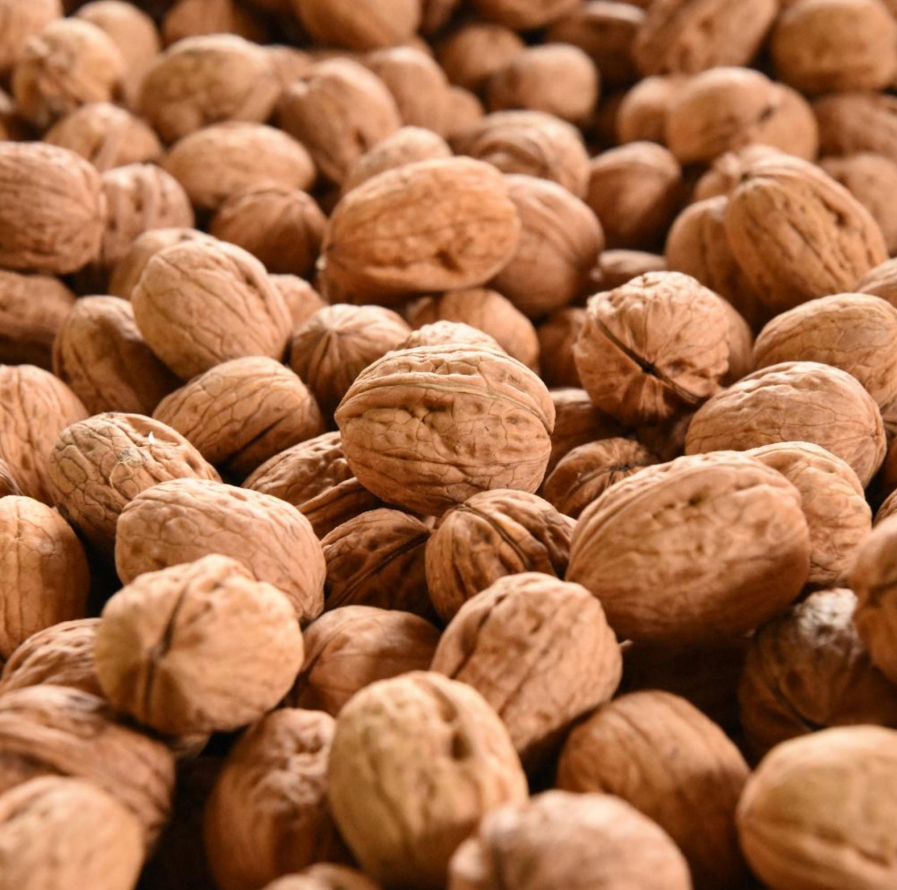 Noix sèches bio - 1 kg - Anjou Noisettes - Locavor.fr