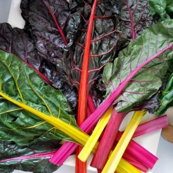 Blette multi couleur - 1 kg - Ferme De Layat - Locavor.fr