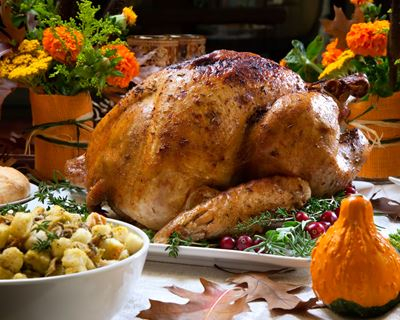 Poularde fermière bio - 1 u - Poulet Fermier Chez Coque - Locavor.fr