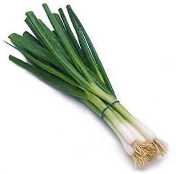 Cebette ou (petit oignons nouveaux botte) - 1 u - Domaine Du Kheir ...