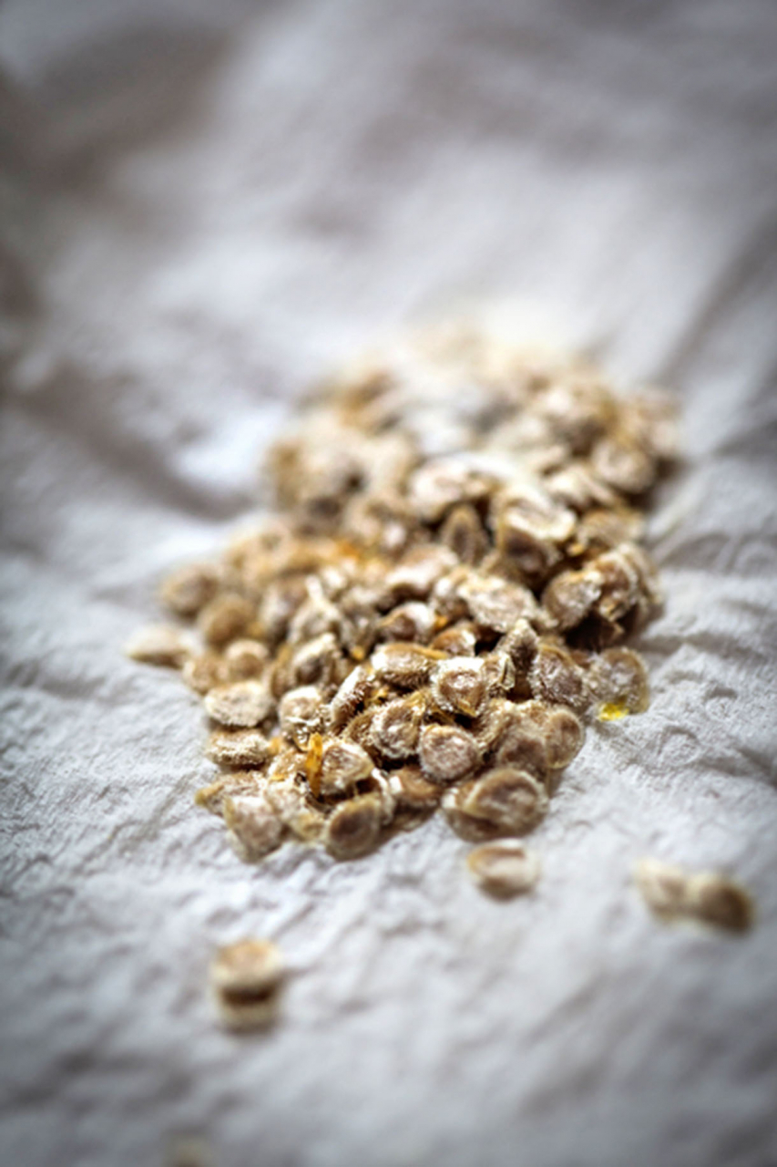 Variété cerise verte: raisin vert - 35 u - Ferme De Layat - Locavor.fr