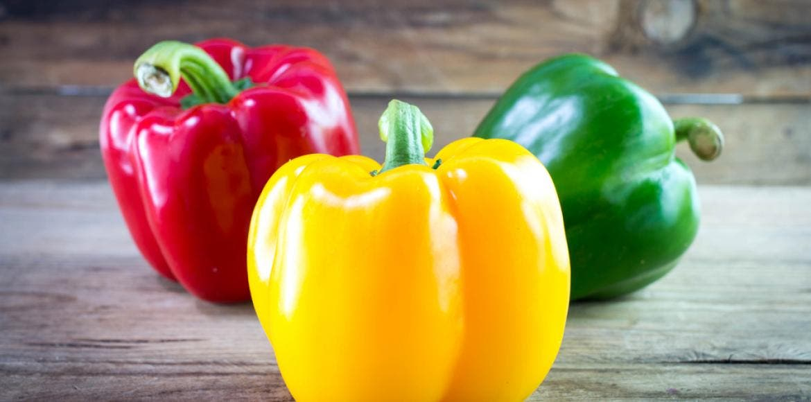 Palais aux poivrons - 1 u - Ah ! La Chèvrerie De Servières - Locavor.fr