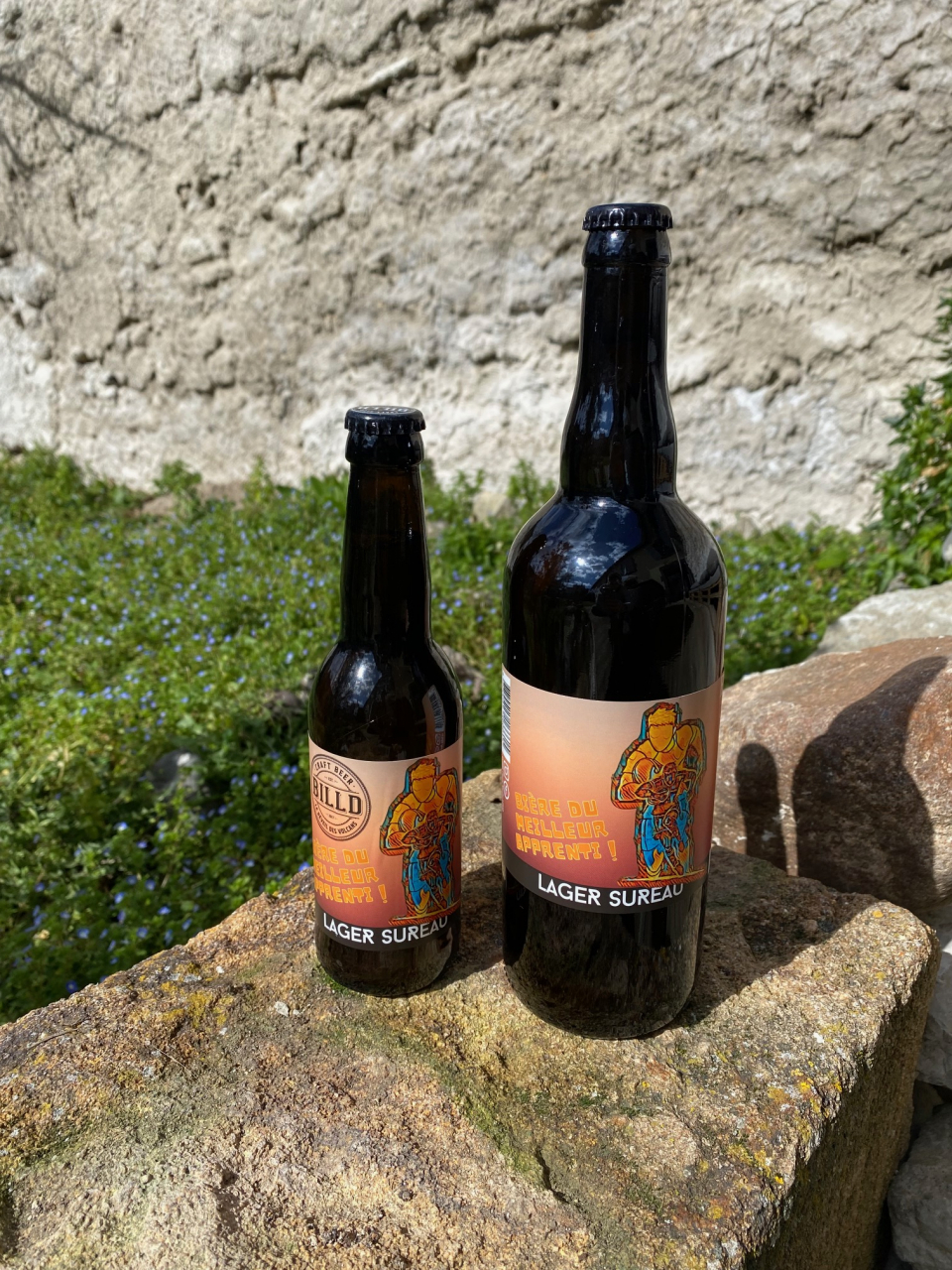 33cl lager sureau - 33 cl - Billd Le Reveil Des Volcans - Locavor.fr