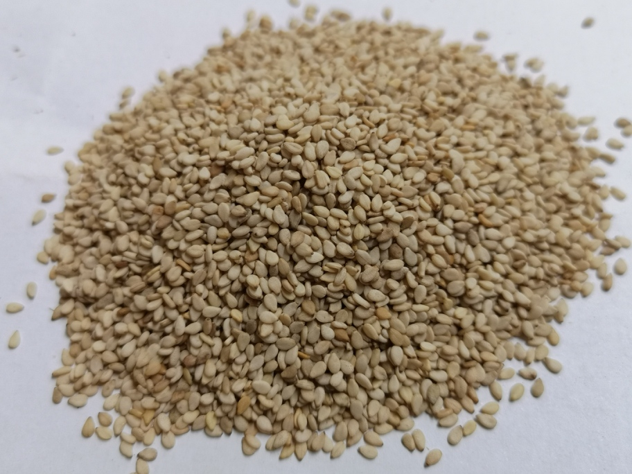 Sésame complet graines - 75 g - Epi C Bio - Locavor.fr