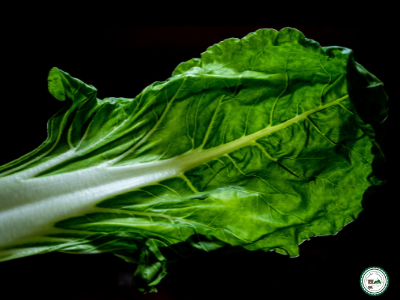 Blette - 4 formats - Les Jardins Auvergnats Production - Locavor.fr