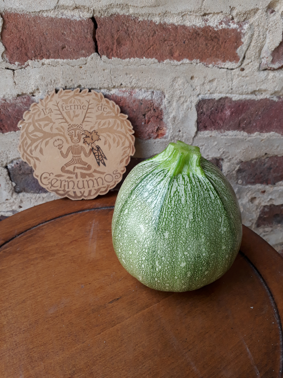 Courgette ronde à farcir - 2 formats - Ferme De Cernunnos - Locavor.fr