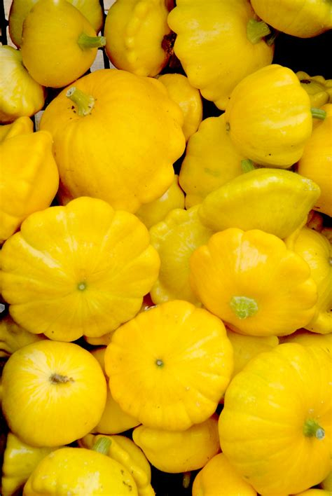 Patisson jaune (type courgette) - 1 u - Ferme De Layat - Locavor.fr