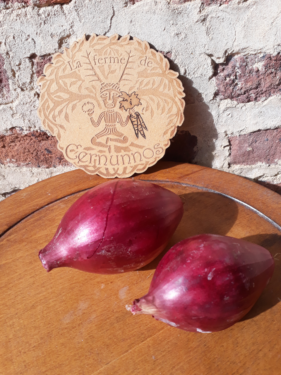 Oignons rouges - 200 g - Ferme De Cernunnos - Locavor.fr