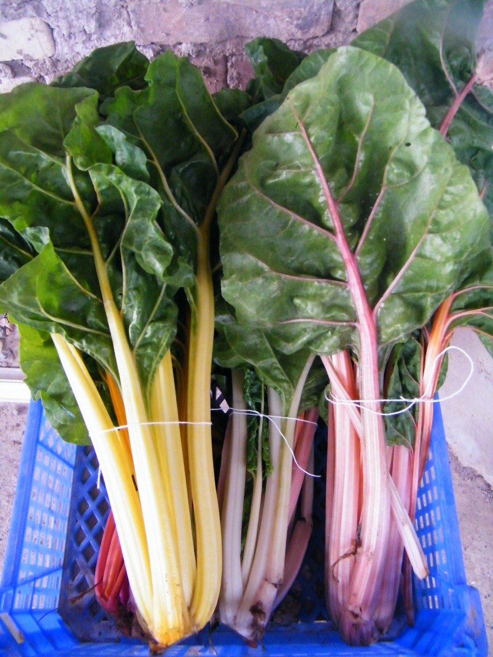 Blettes - 500 g - Willers Hof - Locavor.fr