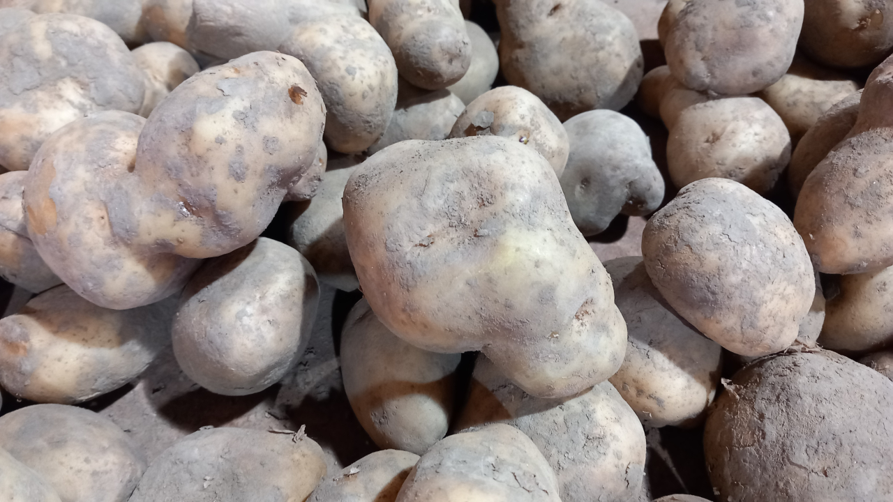 Pdt bintje - 1 kg - Biganos Primeur - Locavor.fr