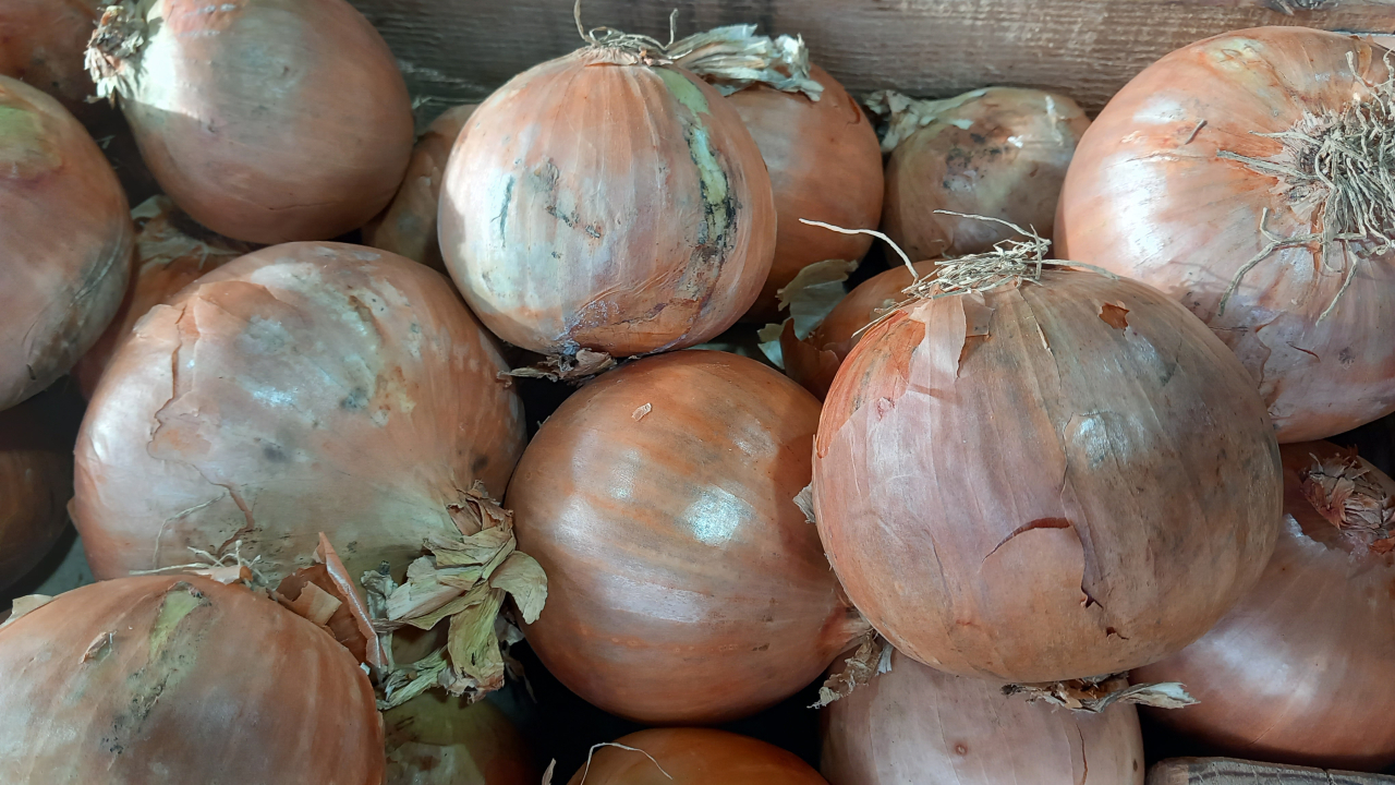 Oignon jaune - 1 kg - Biganos Primeur - Locavor.fr