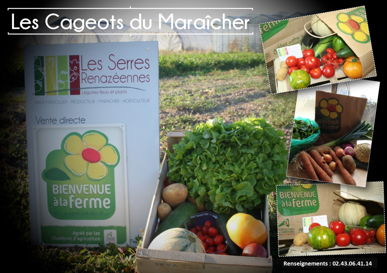 Cageot de légumes moyen - 1 u - Les Serres Renazéennes - Locavor.fr