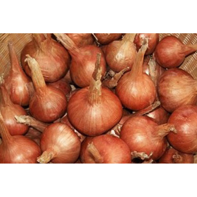 Echalotes - 200 g - La Ferme De La Brie - Locavor.fr