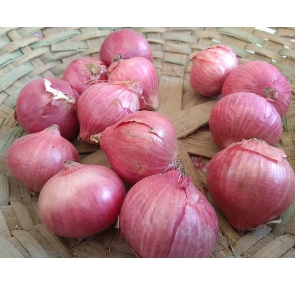 Oignons rose - 2 formats - Vit'actif - Locavor.fr