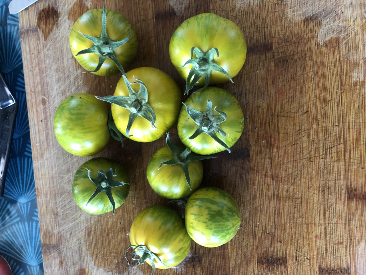 Tomate green zebra-(plant) - 1 u - Ferme Au Fil Des Saisons - Locavor.fr