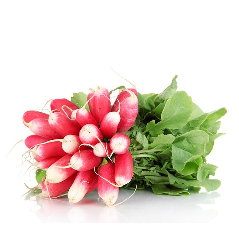 Radis rouge long - 1 u - La Ferme Paysanne - Locavor.fr