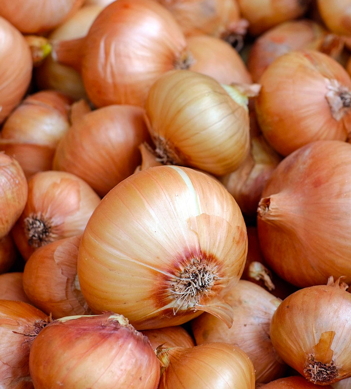 Oignons jaune avec fanes - 1 kg - Ferme De Layat - Locavor.fr