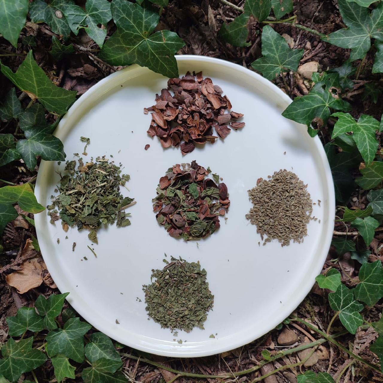 Ecorces de cacao pour infusion - purifie-moi! - 80 g - Chakola Tree ...