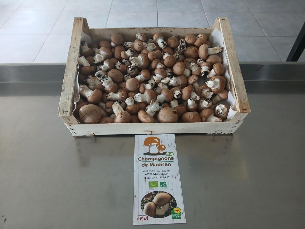 Champignons 1er choix sachet 500g - 500 g - Champignons De Madiran ...