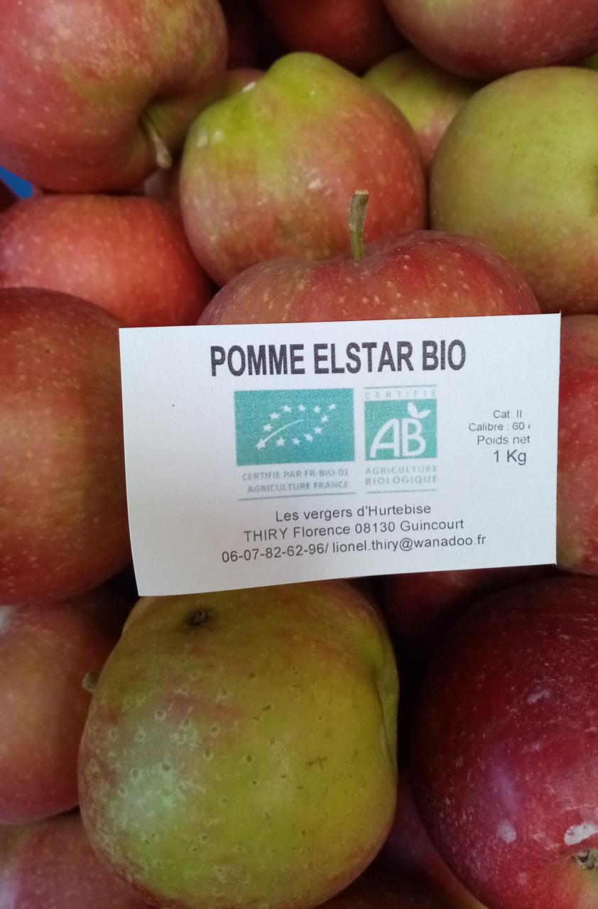 Pomme elstar 1 kg - 1 kg - Maison Thiry Florence - Locavor.fr