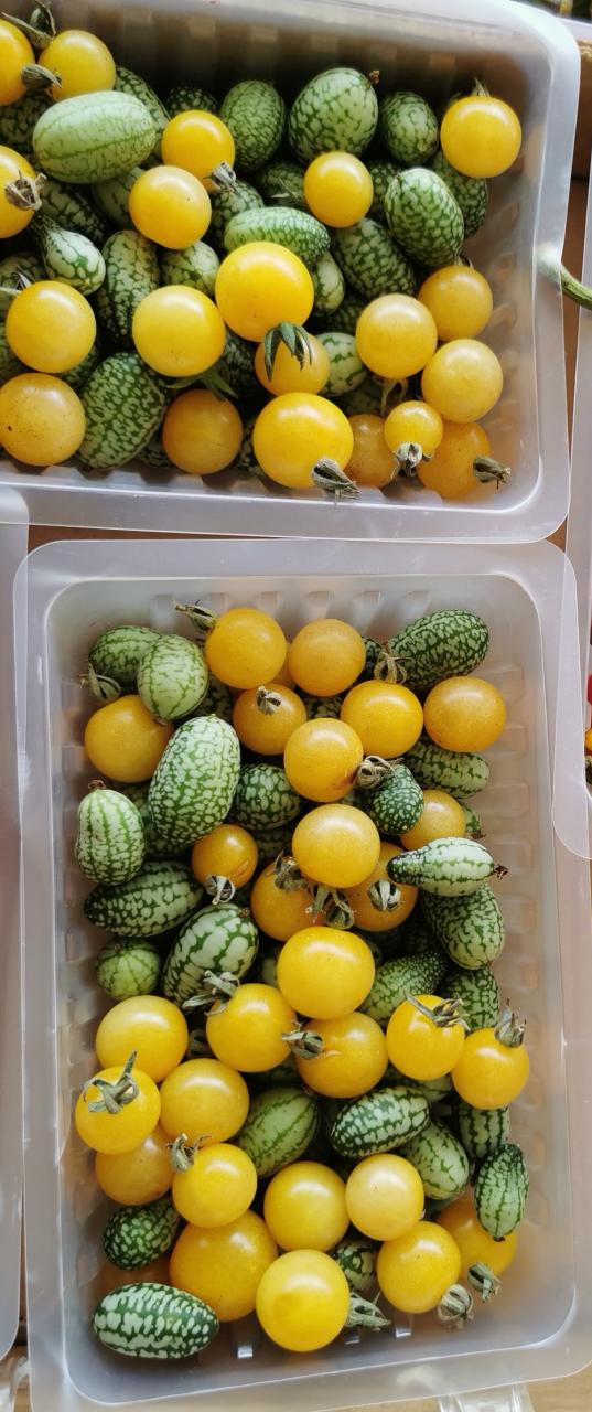 Duo cucamelons et tomates cerises - 250 g - Le Potager De La Couze ...