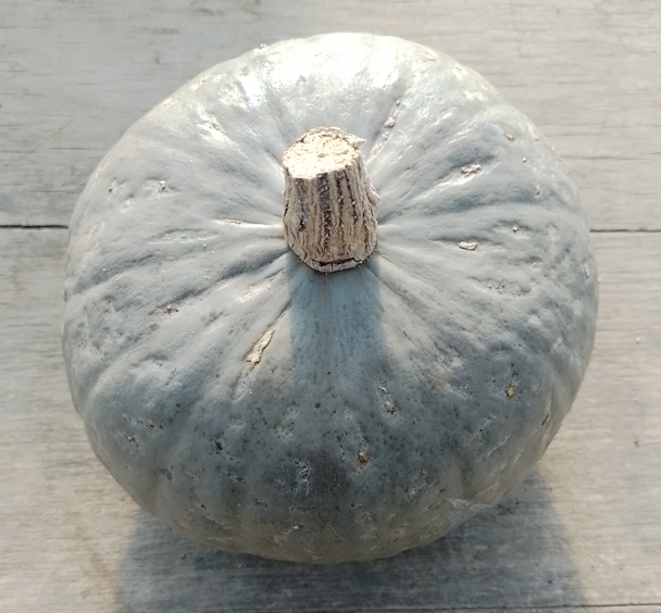 Courge potiron sombra - 2 kg - Jardin Soli-bio - Locavor.fr